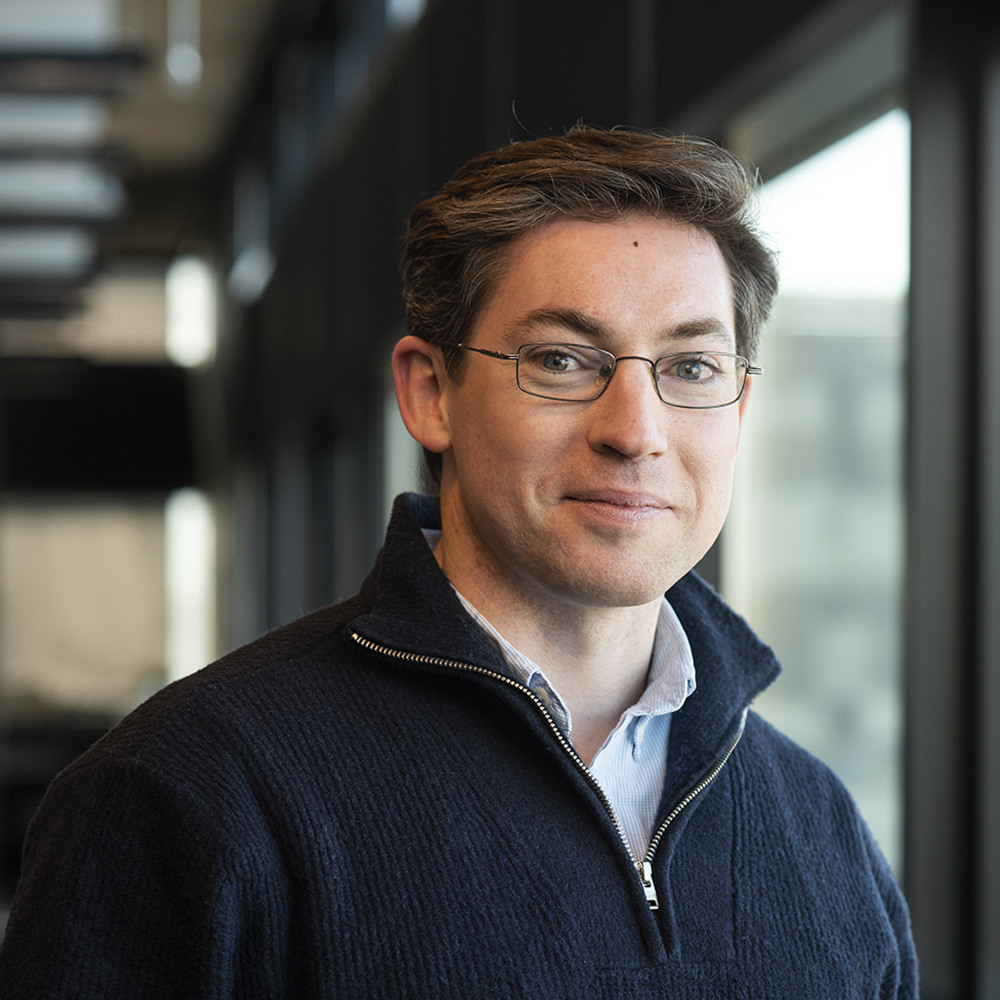 Conference: The DSA and Platform Regulation - IVIR